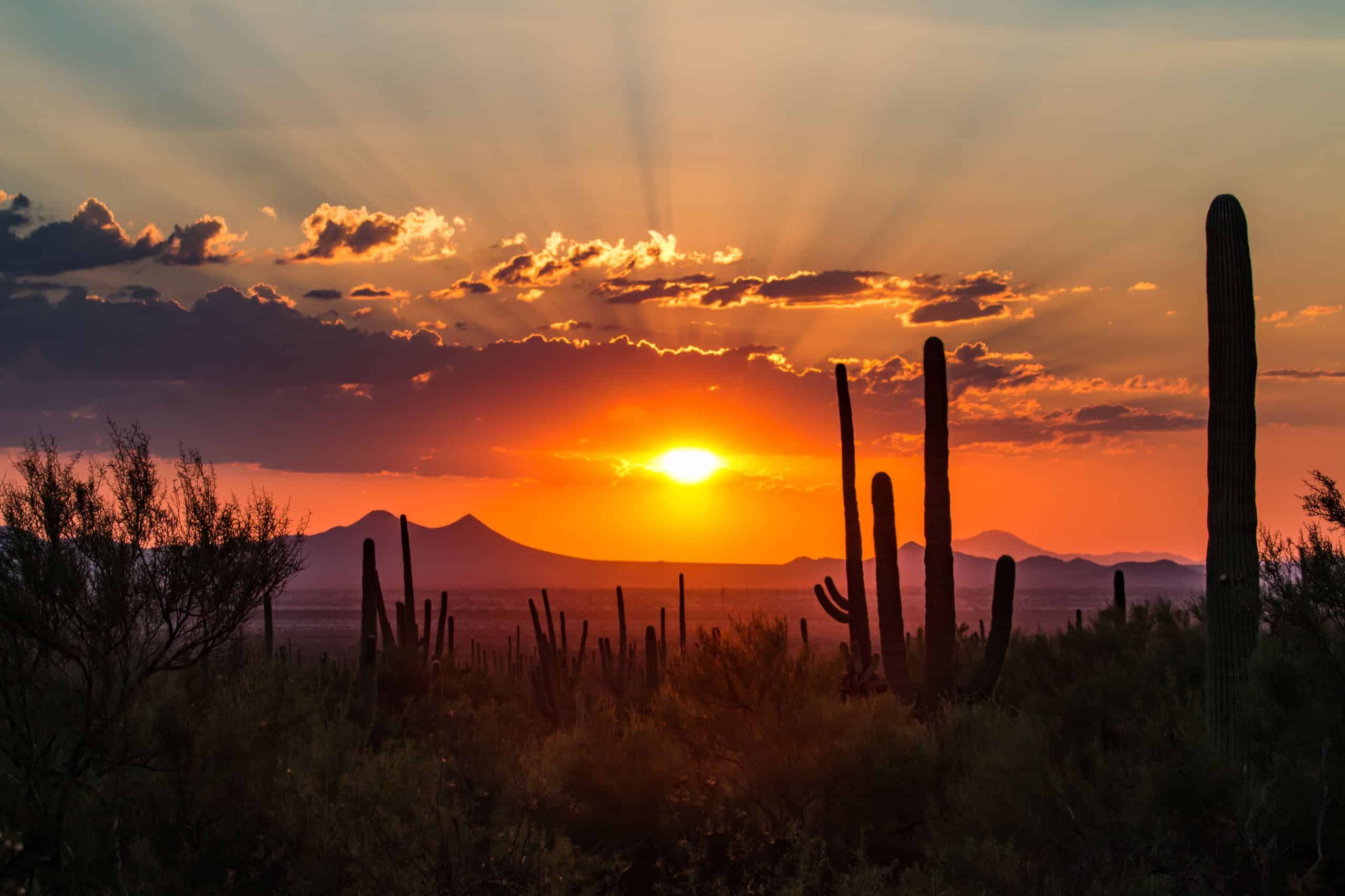 Arizona Web Design, Hosting, And SEO | BPetersonDesign