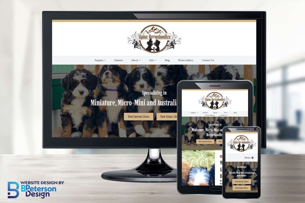 Colorado Web Design Company