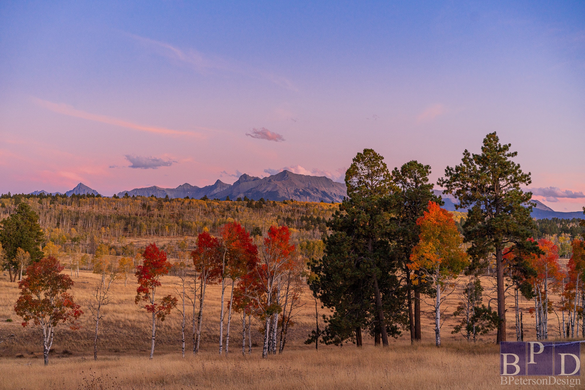 Colorado Web Design Company